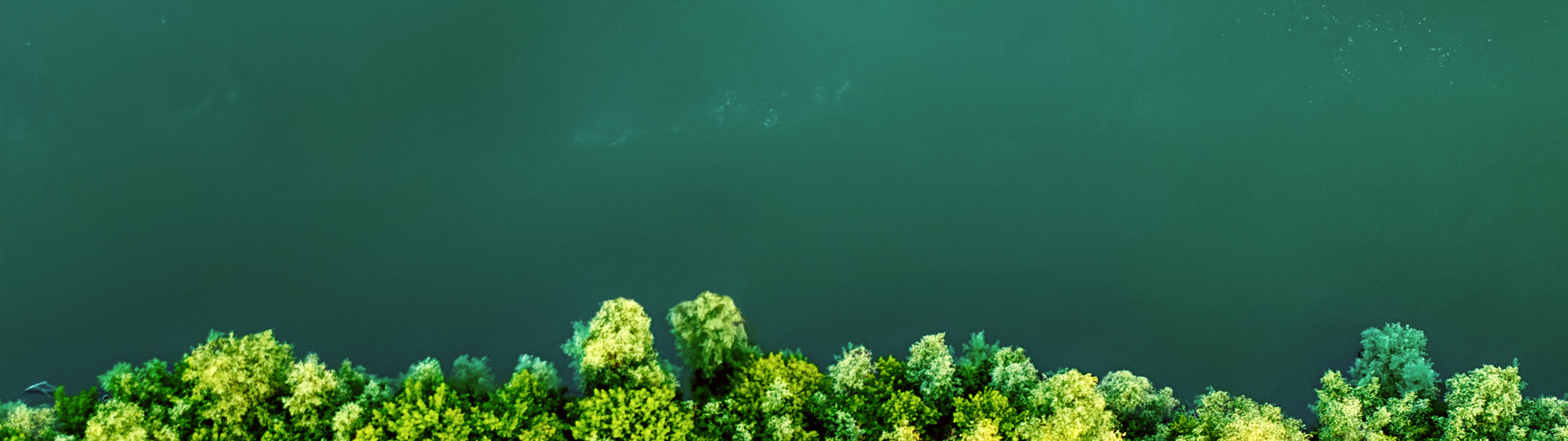 Home - Z Pro Inflatables